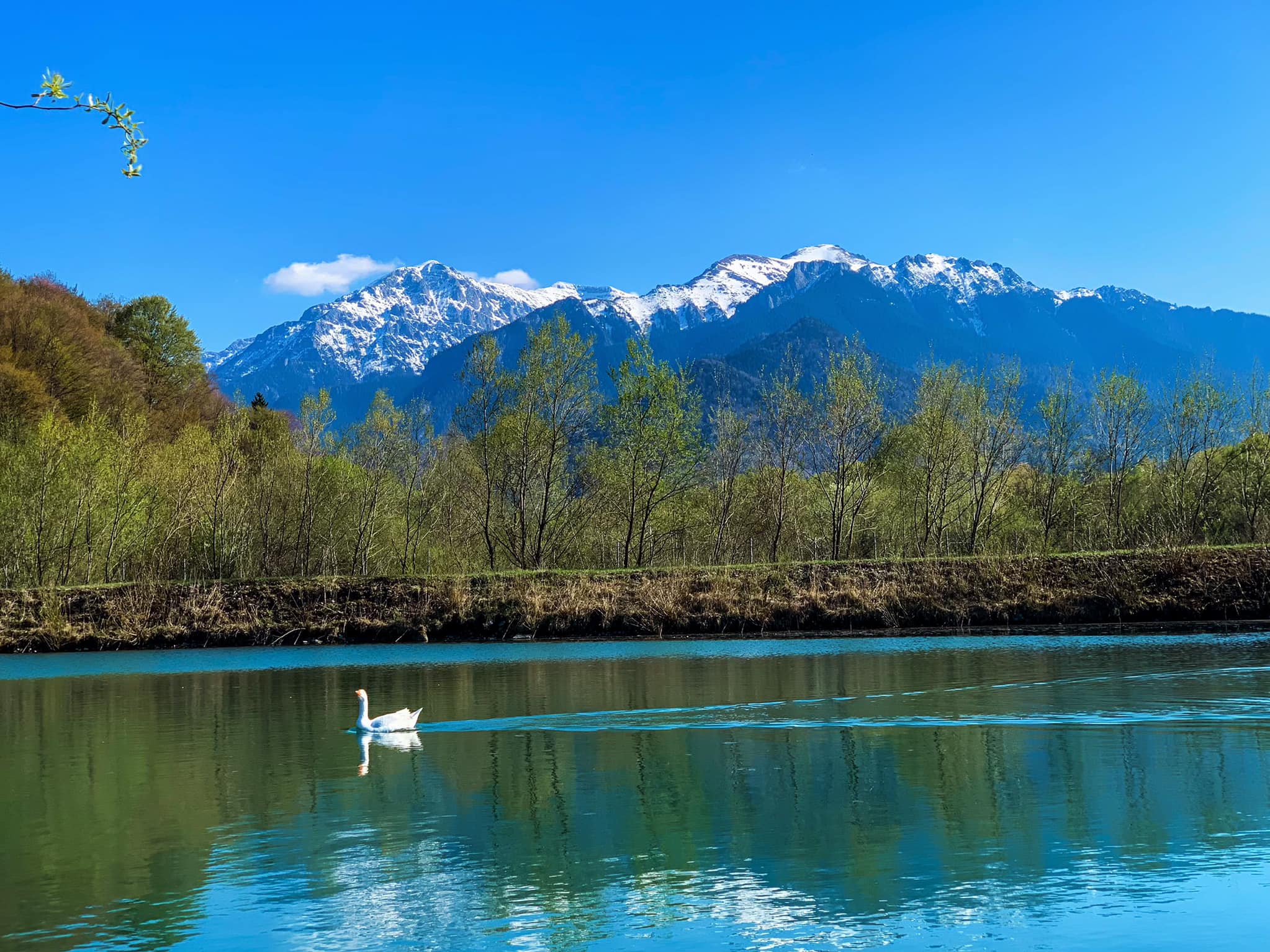 Top 10 cabane uimitoare din România, cu locuri libere, pentru un ...